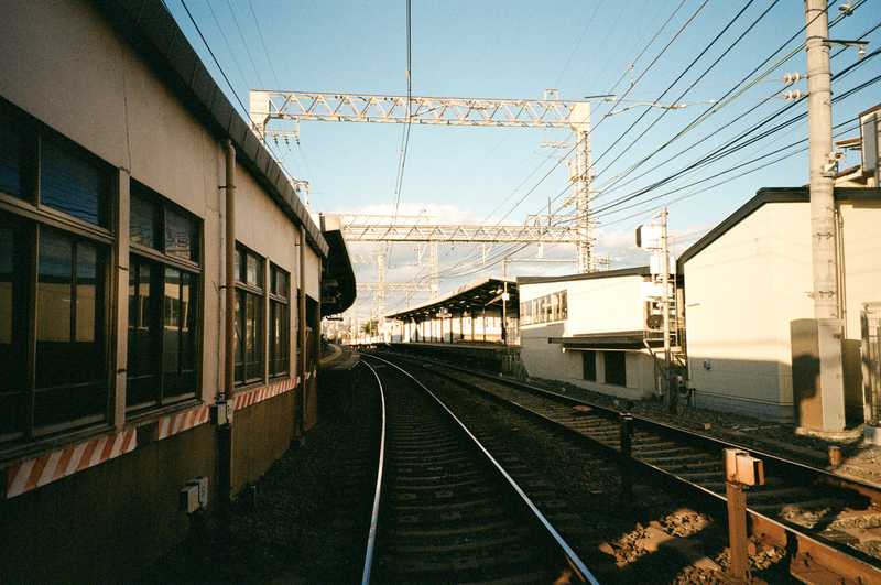 Emotional Freedom | Cheng-Wei Hu